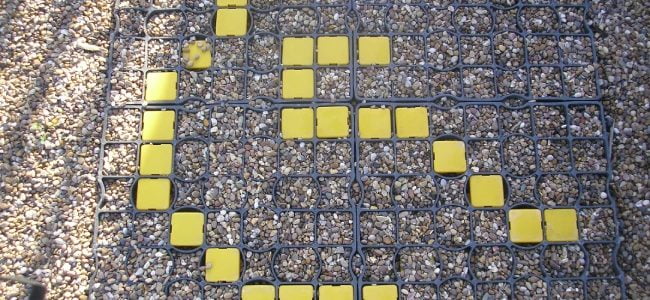 Gridforce Brochure - Gridforce